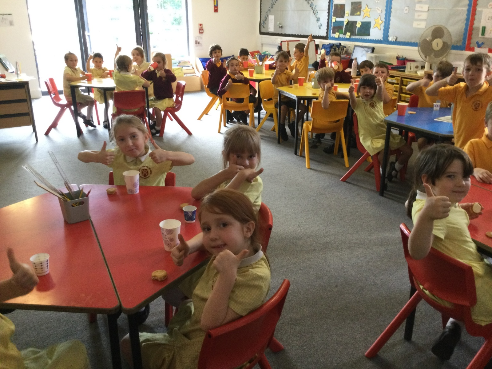 St Louis Catholic Academy - A half term of discovery